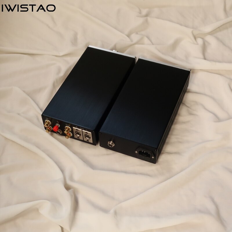 IWISTAO High-gain Vinyl Balanced Output Phono Preamplifier MM Moving M ...