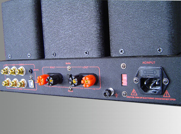 IWISTAO Tube Amp FU50 Power Stage 2x13W Triode Connection Class A – IWISTAO HIFI MINIMART